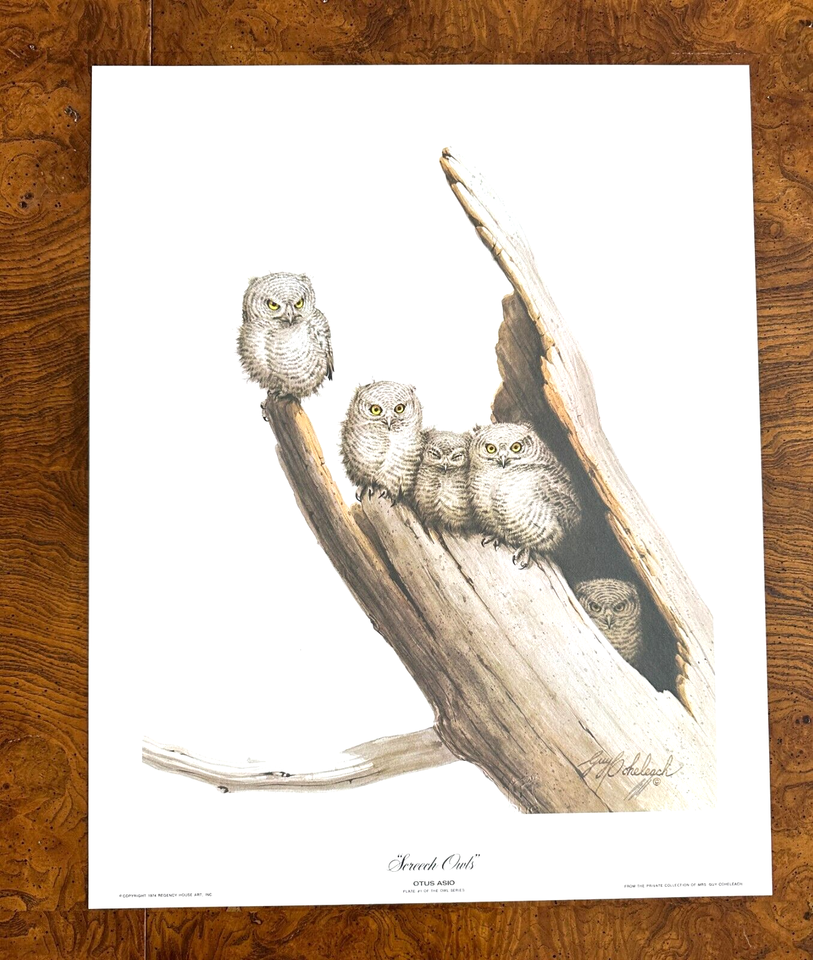 GUY COHELEACH 1974 SIGNED "SCREECH OWLS" ART PRINT 20"x16" COMPLETE | eBay