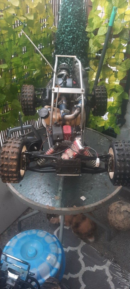 NEW FG Marder Off-Road Petrol 1:6 Large Scale Buggy - 26cc | eBay