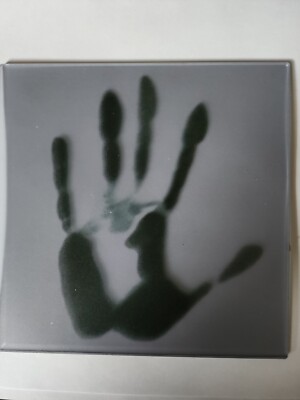BAM Horror Box Exclusive Encased Hand Print from The Invisible Man 2020 ...