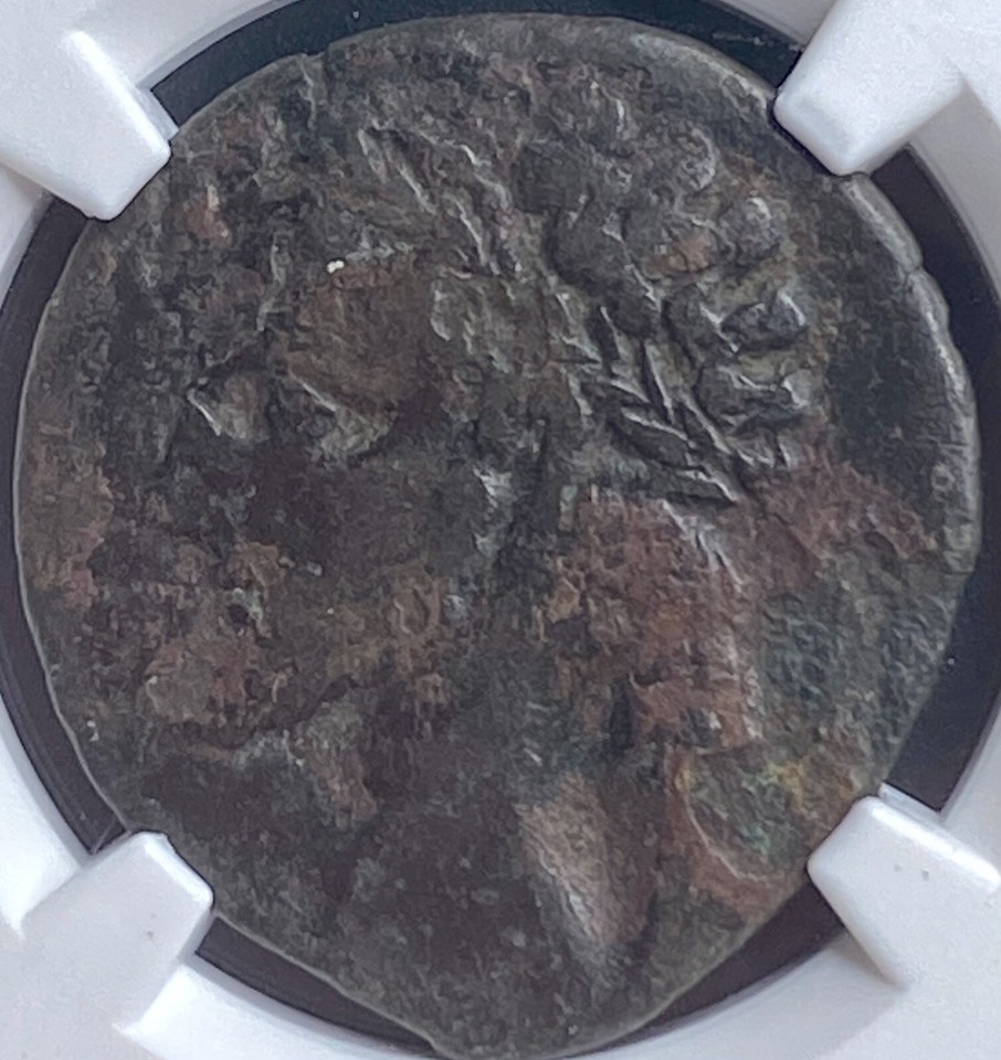 Numidian Empire Coin 208BC-118BC Punic War Era Micipsa NGC Ancient ...