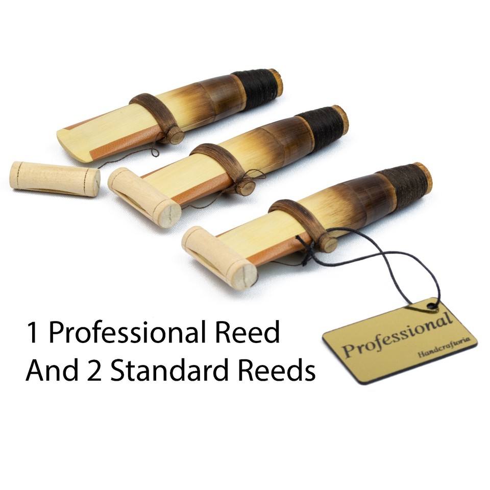 Armenian Professional 432Hz DUDUK istrument Key A Apricot Wood Oboe ...