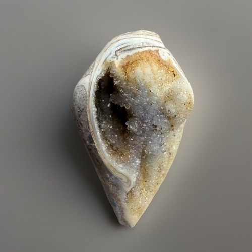 DRUZY SPARKLY Spiralite Fossil Gem Shells Crystallized Agatized • India ...