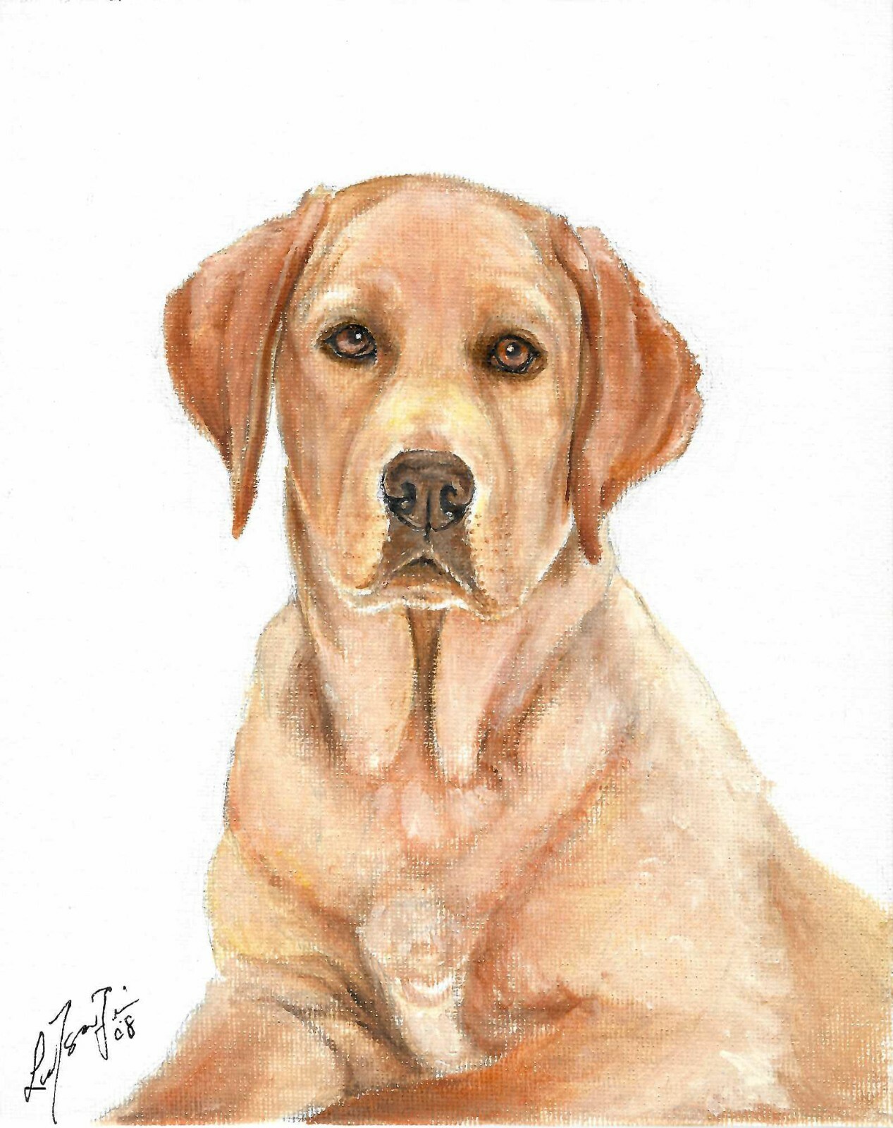 Pencil Drawings Of Lab Puppies