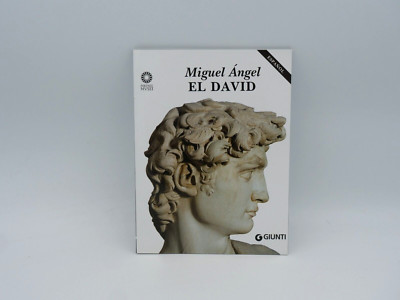 Miguel Angel EL DAVID Spanish Language Spain Import Art Book ...