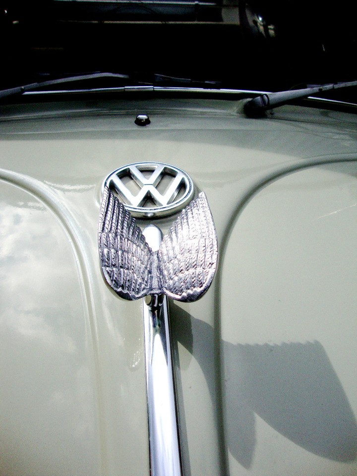 Phoenix Wings Mascot Emblem for VW Beetle Bug Scarab Type 1 Oval ...