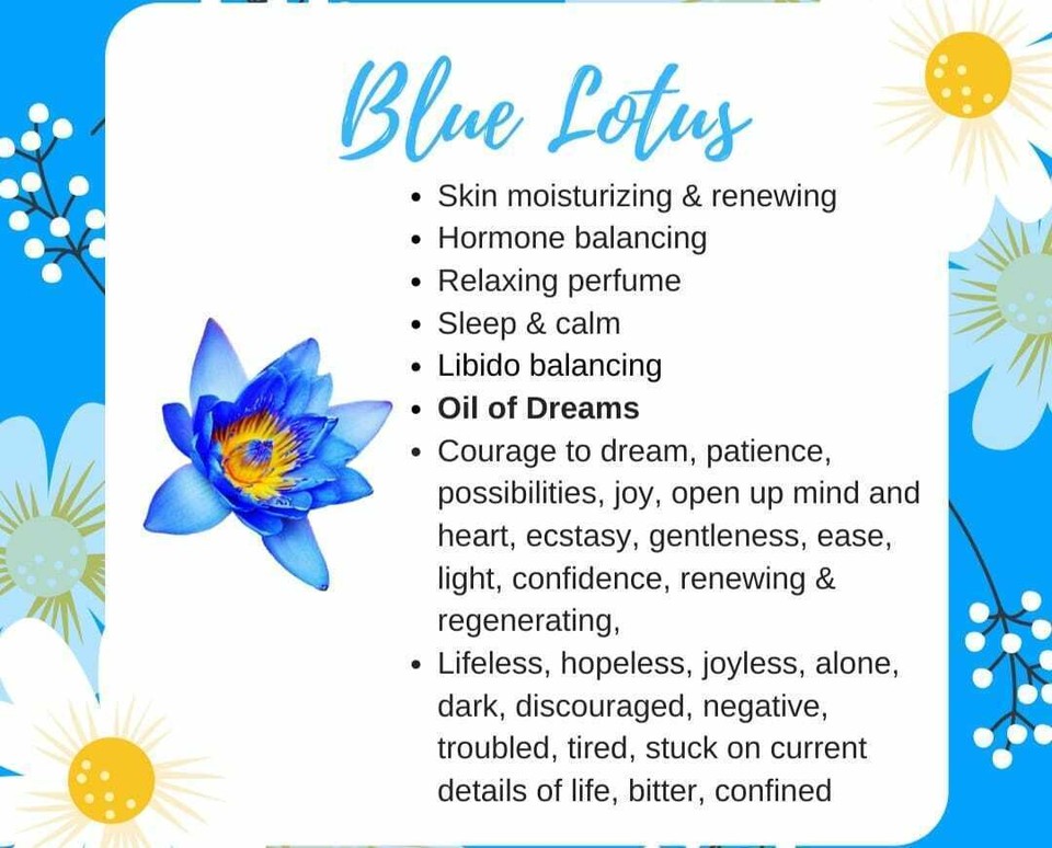 Organic Natural BLUE LOTUS Nymphaea Caerulea Dried Flower 100%Harbal ...