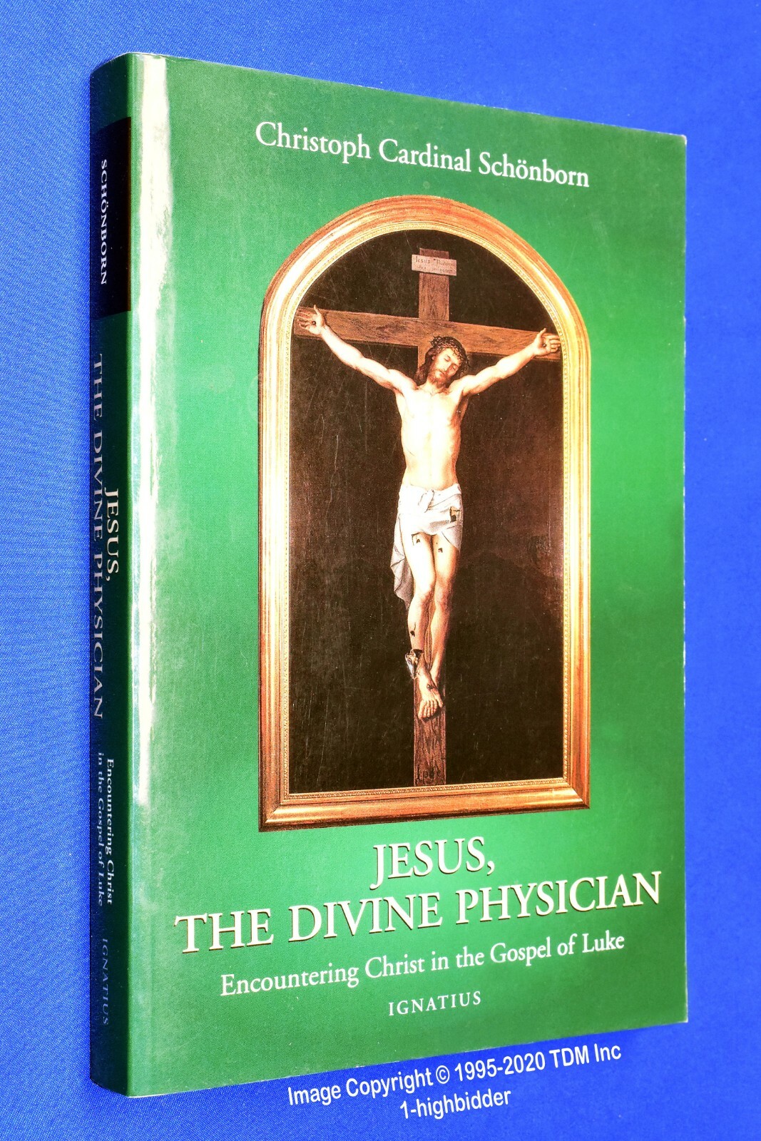 Jesus the Divine Physician Christ from the Gospel of Luke by Cardinal ...