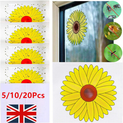 1-20x Fly Trap Window Stickers Sticky Sunflower Insect Bug Flies Killer ...