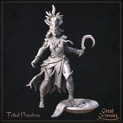 Tribal Priestess Aztec Female Human Fighter Rogue Miniature | D&D DnD ...
