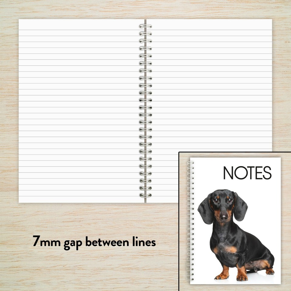Dachshund A5 Notebook - Sausage Dog Spiral Blank Writing Pad - Dog ...