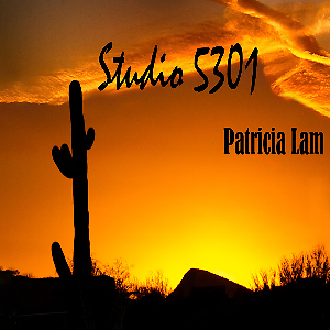 Studio 5301 | eBay Stores