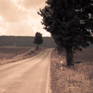Nostalgia Road | eBay Stores