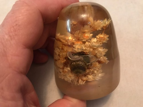 Honey Bee In Lucite Vintage Paperweight | eBay