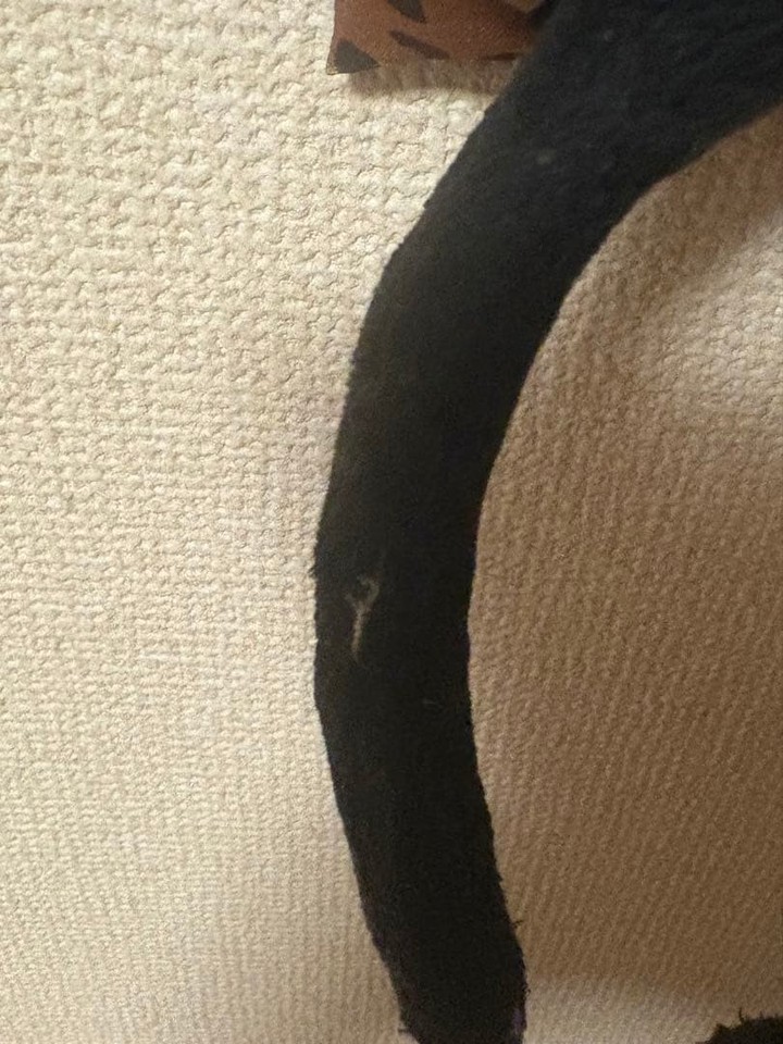 Tokyo Disney Resort Leopard Pattern Ear Headband Ears | eBay