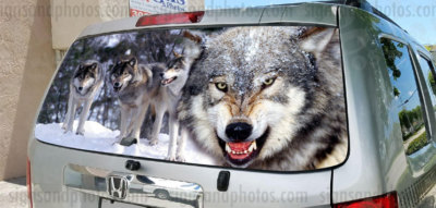 Rear Window Graphics Pack Of Wolves Ebay