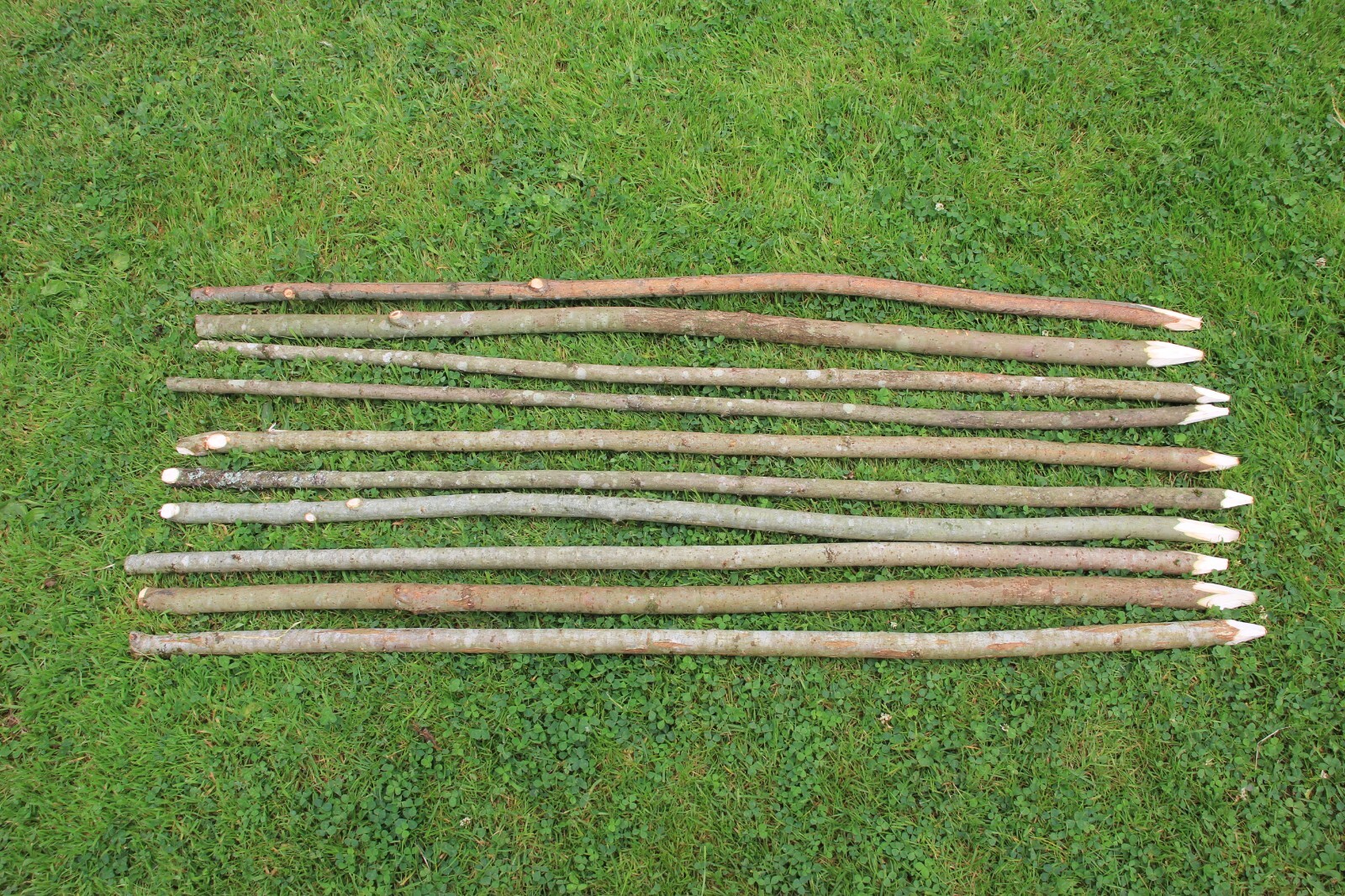 10 x Coppiced Willow & Birch Garden Support Stakes; 4ft Long ...