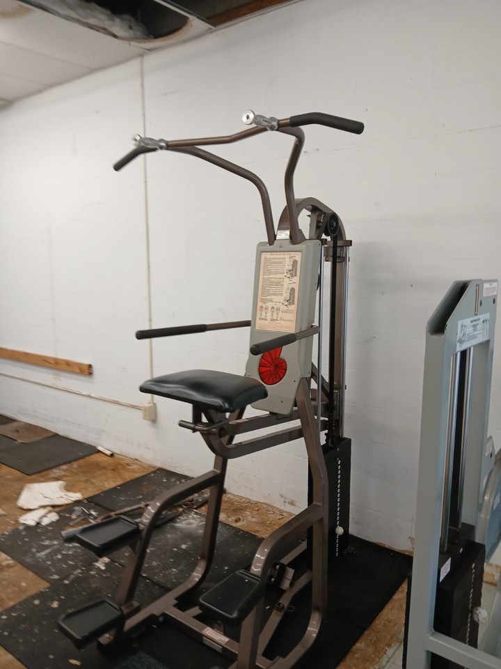 Nautilus Assist Chin Up/dip Machine | eBay
