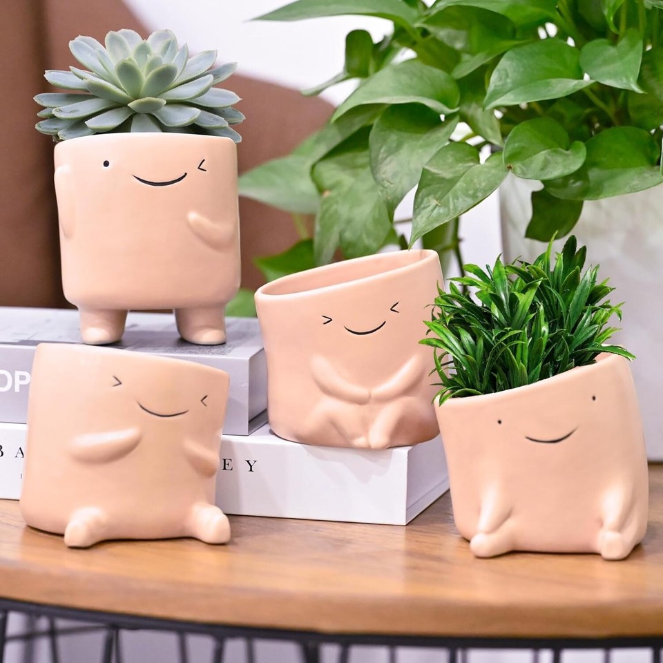 4 Pack Cute Plant Pots, Gifts for Plant Lovers, 4 inch Small Succulent ...