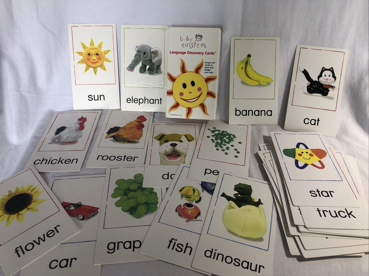 Baby Einstein Language Discovery Cards