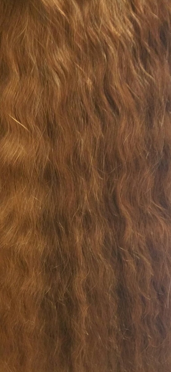 Zury Wetnwavy Ultra Super Wave Braiding Hair Beauty Empire