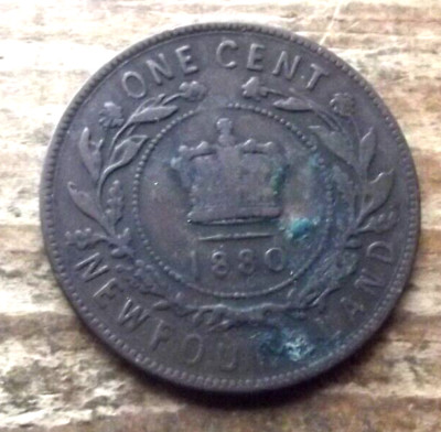 1880 NEWFOUNDLAND ONE CENTS LOT 78-W | eBay