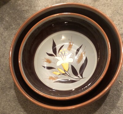 LOT of Stangl Ware MCM Pottery Golden Harvest Large Brown 2 SERVING ...