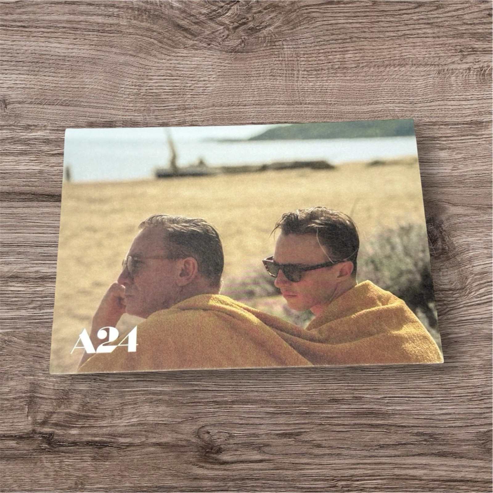 A24 Queer Movie Postcard - A24 Films | eBay