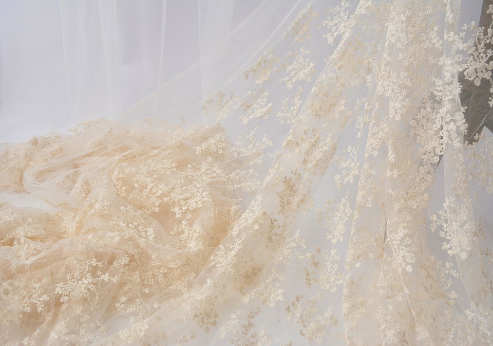 Bridal Dress Costume Lace Tulle Cream Floral Embroidery Wedding Gown ...