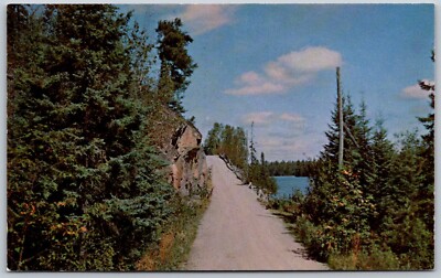 Postcard MN Ely Minnesota Deep In The Forest Near The Border MN02 | eBay