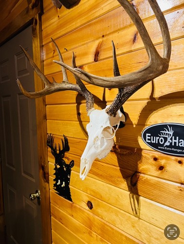 European Skull Mount Hanger *The EuroHanger Primitive* Deer Skull Hook ...
