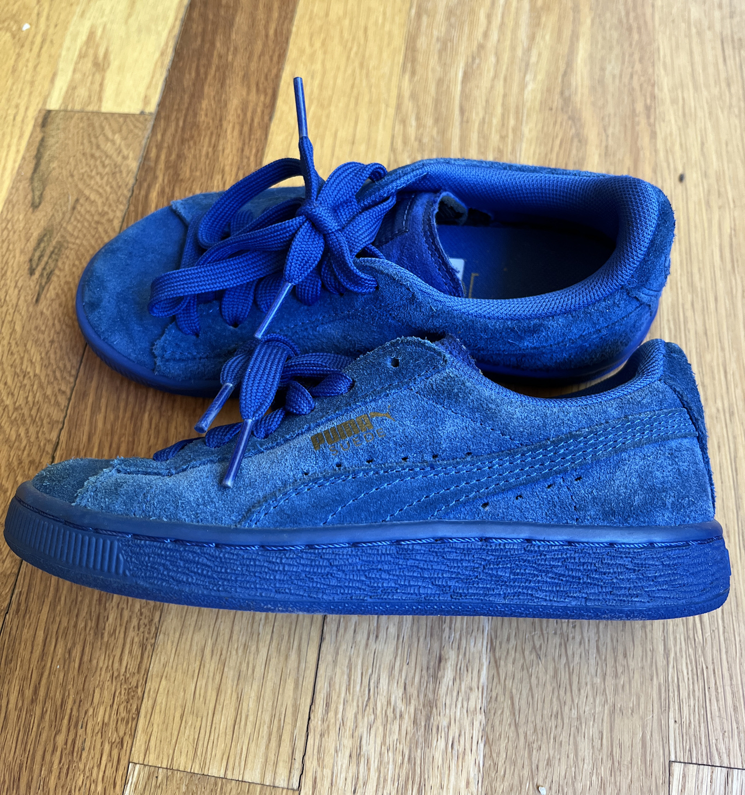 Puma Shoes Suede Blue