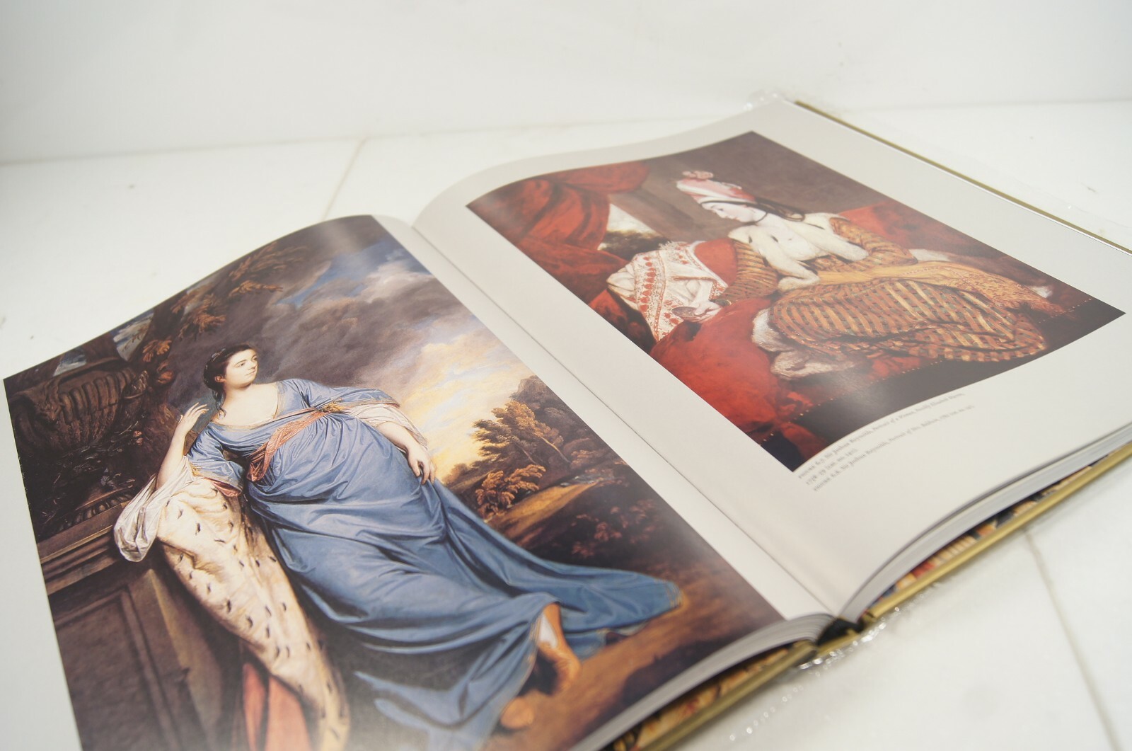 Hearst the Collector by Mary L. Levkoff (2008, Hardcover) 9780810972834 ...