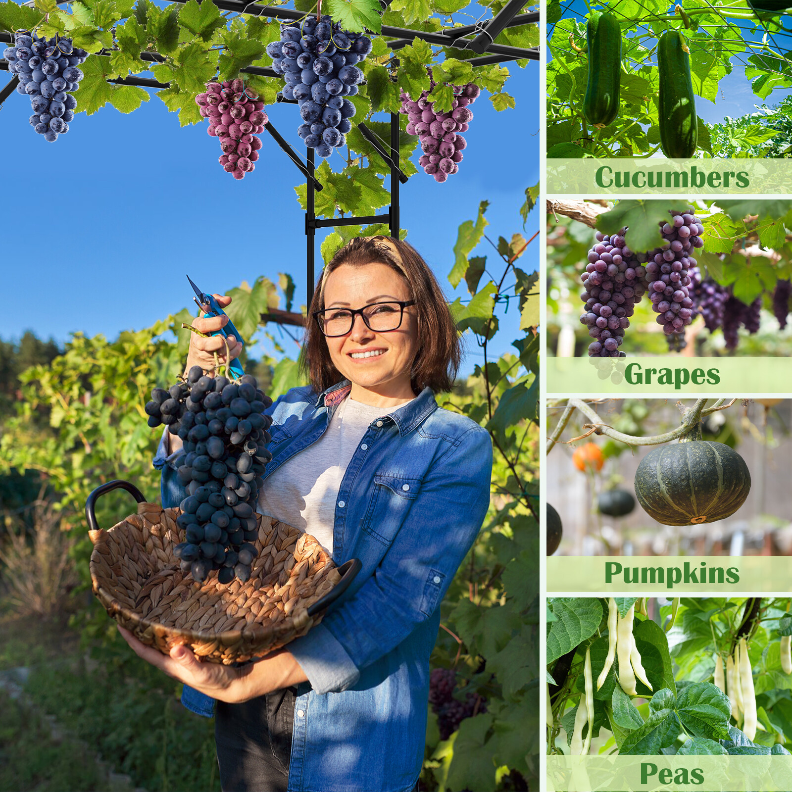 Docred Extra Large Outdoor Garden Arch Trellis 87''Hx118''Lx79''W Grape ...