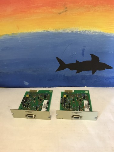 1x Powerware 101073722-A00 / 612-02565-01 Comm Port IOIOI Card | eBay