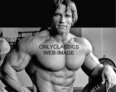 Arnold Schwarzenegger Terminator Body Arnold Schwarzenegger Terminator