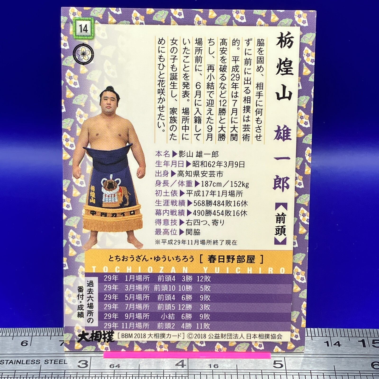 Tochiozan Yuichiro 14 Sumo Wrestler Trading Card BBM 2018 TCG Japanese ...