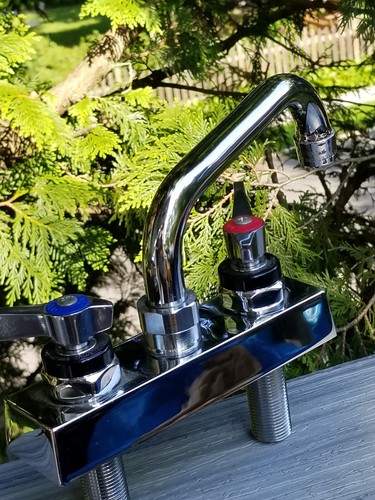 ENCORE SANIGUARD PLUMBING SINK FAUCET | eBay