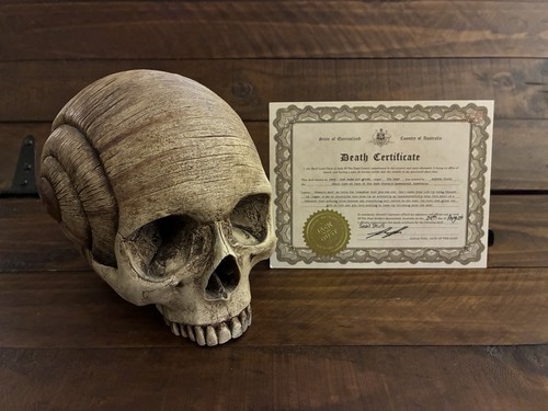 Jack of the Dust - Snail Skull *SOLD OUT* | eBay