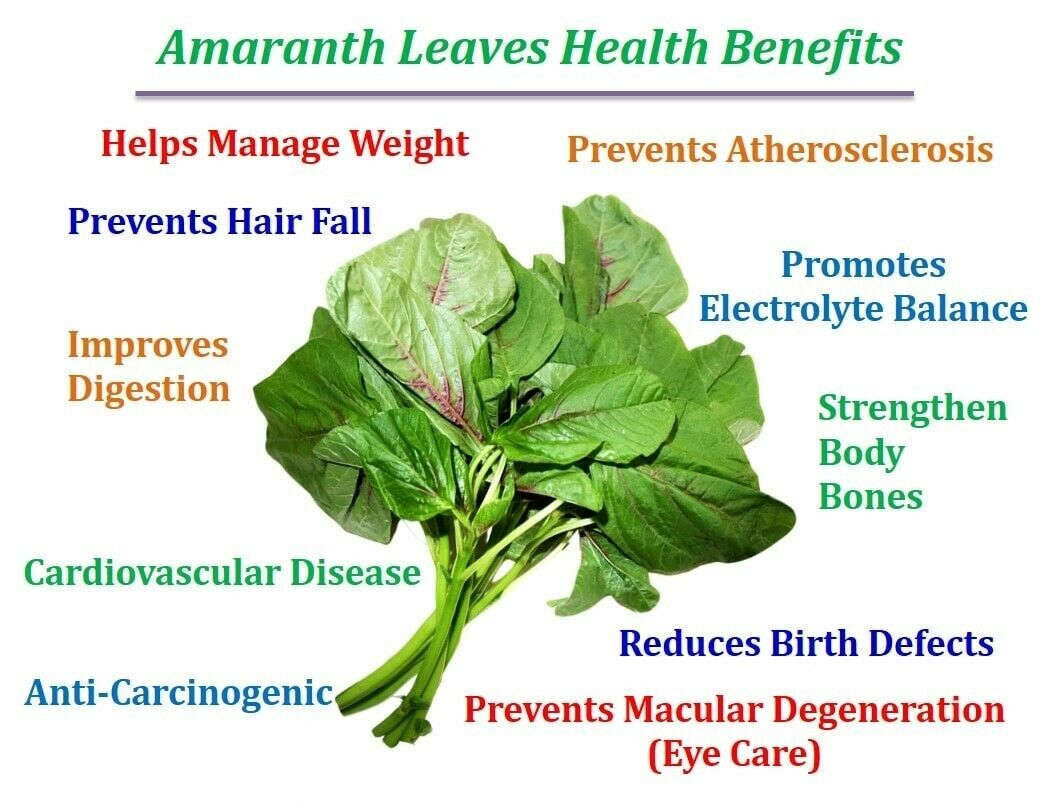 Amaranth Health Benefits Amaranth: The Healthy Supergrain That No One