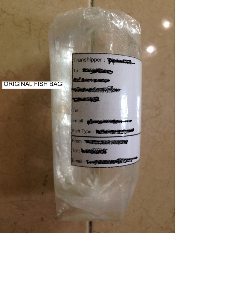 GUPPY FISH DUMBO RED MOSAIC 1 PAIR (MALE+FEMALE) | eBay