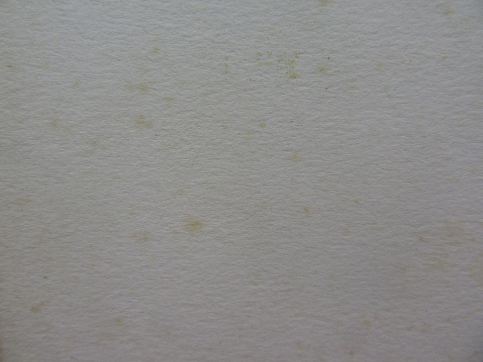 Original 1985-Jonny-Hawk-Native-American-Water-Color-Painting | eBay