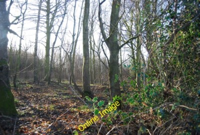 Photo 6x4 Fox Hill Frogshall c2013 | eBay UK