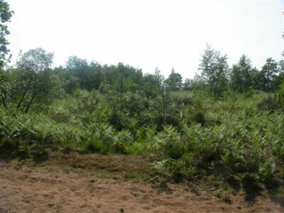 Photo 6x4 Thursley Common Pot Common/SU9042 c2006 | eBay UK