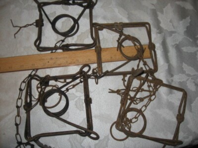 traps--110 conibear traps--4 total | eBay