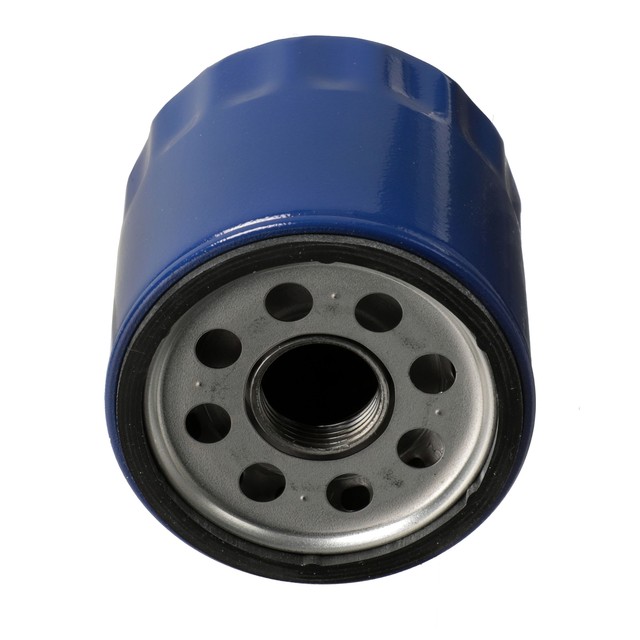 Genuine GM Pf48e Oil Filter 19303975 for sale online | eBay