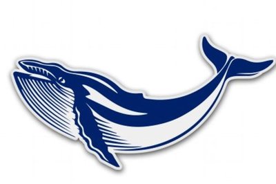 Whale Car Vinyl Sticker - SELECT SIZE | eBay