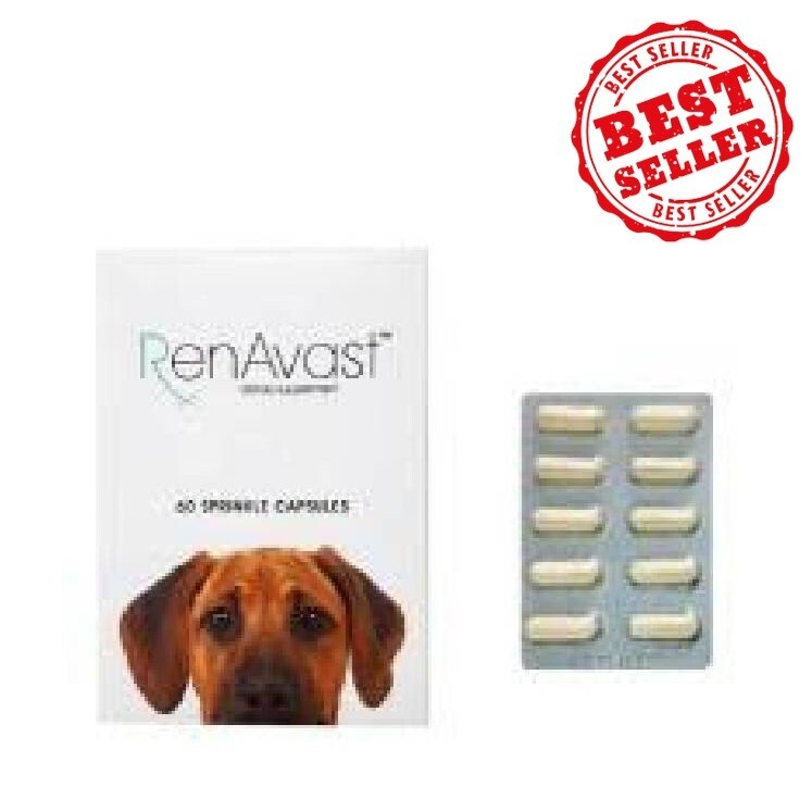 60 Caps RenAvast Protein Supplement BioHealth For Dog Pet Free Shipping ...