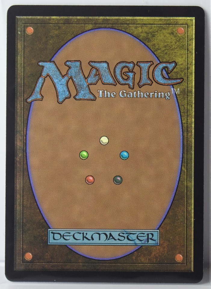 Kitsa, Otterball Elite [New, Near Mint] Showcase Art {Bloomburrow MTG ...