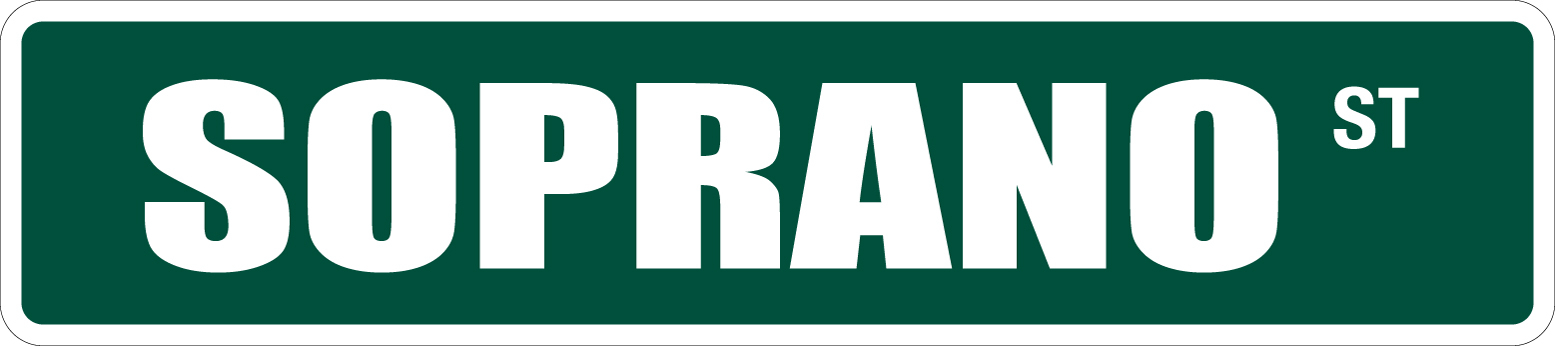 *Aluminum* Soprano 4" x 18" Metal Novelty Street Sign SS 3345 | eBay