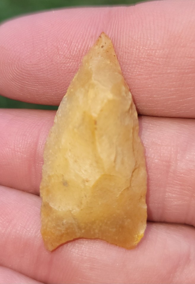 Georgia Arrowhead Woodland | eBay